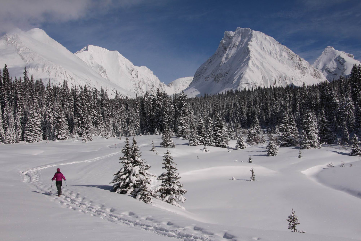 Best Snowshoe Trails In Alberta | Powder Paws Snowshoes